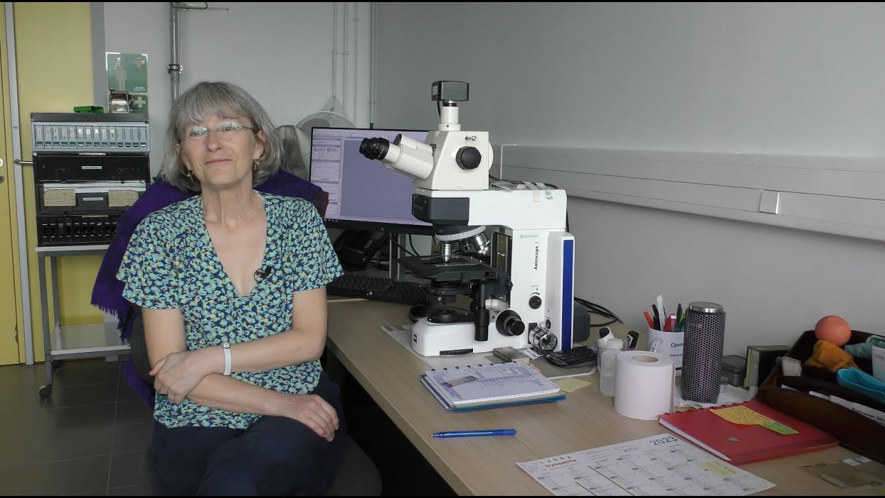 La palynologie par Agnès Gauthier - YouTube