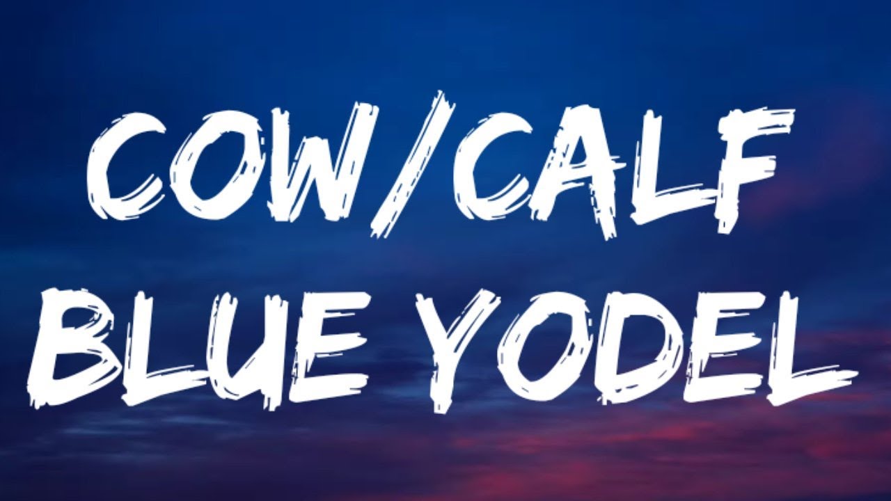 Colter Wall - Cow/Calf Blue Yodel (Lyrics) - YouTube