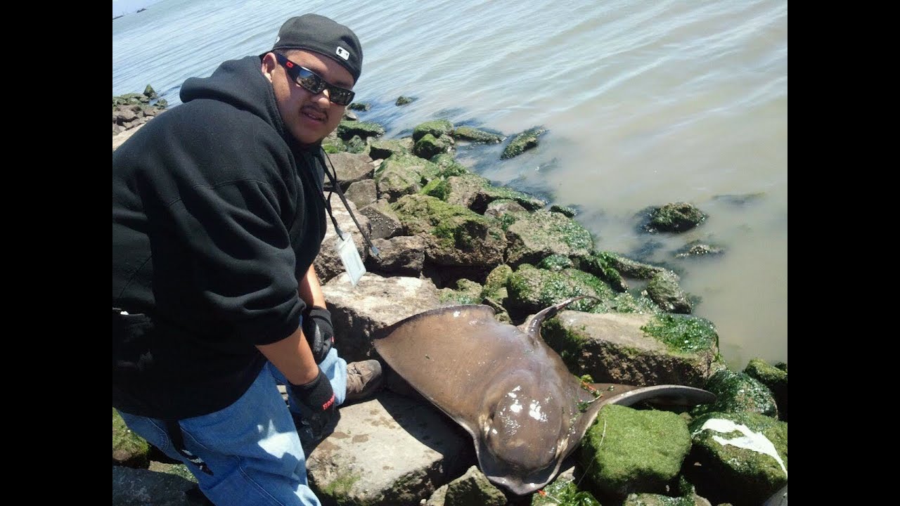 MUD MARLIN FISHING IN NORTHERN CALIFORNIA - YouTube