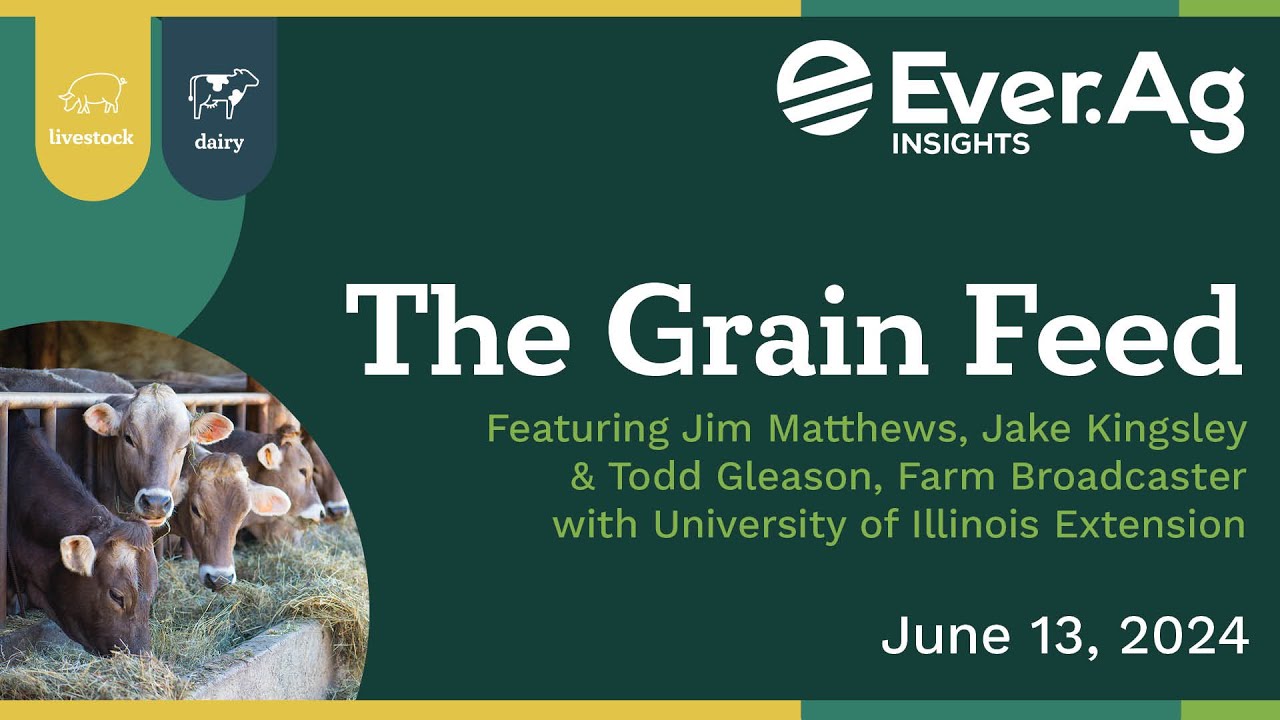 The Grain Feed - June 13, 2024 - YouTube