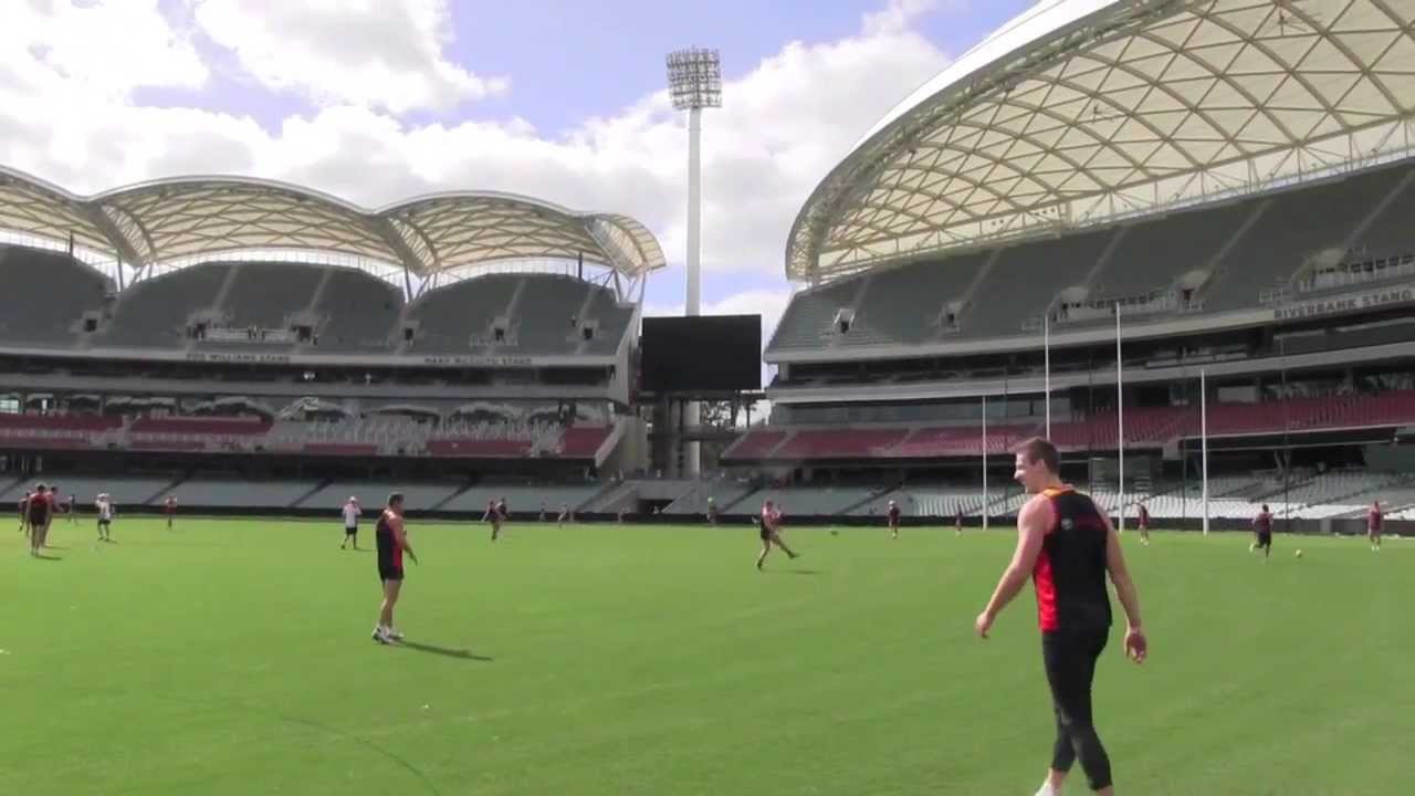 Adelaide Crows train on Adelaide Oval - YouTube