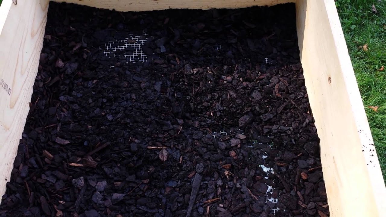 Automatic Screener Pine Bark - YouTube