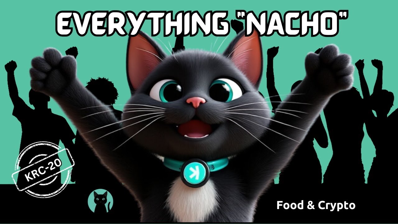 Nacho the Kat - Kaspa KRC-20 Meme Coin - YouTube