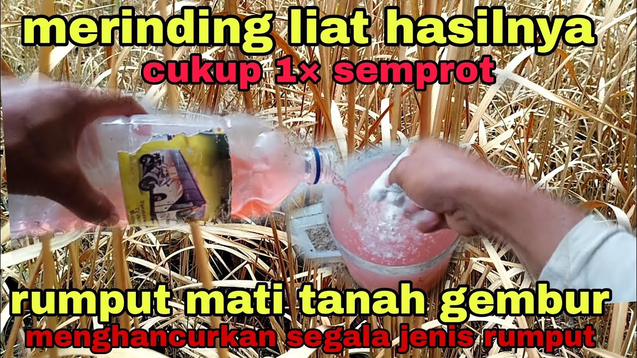 saya merinding liat hasilnya menggunakan cara ini semua jenis rumput ...