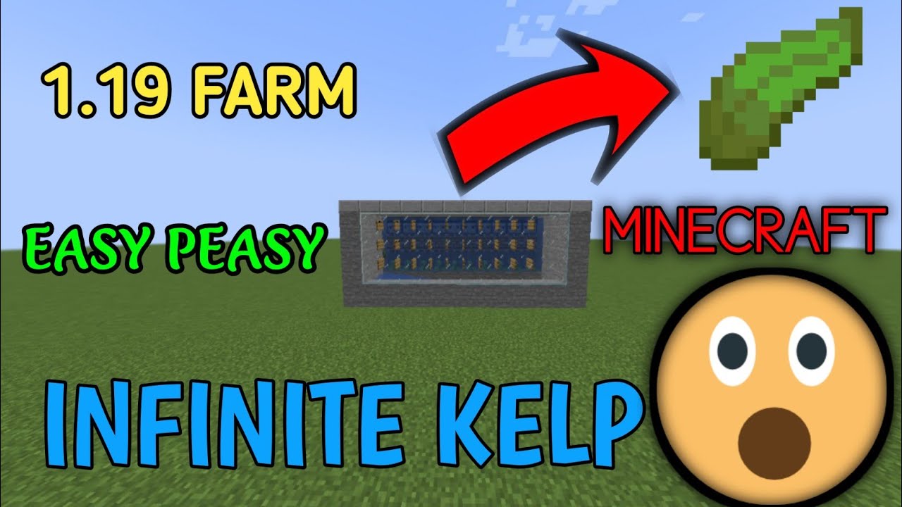 HOW TO MAKE A INFINITE KELP FARM IN MINECRAFT 1.19 JAVA EDITION # ...