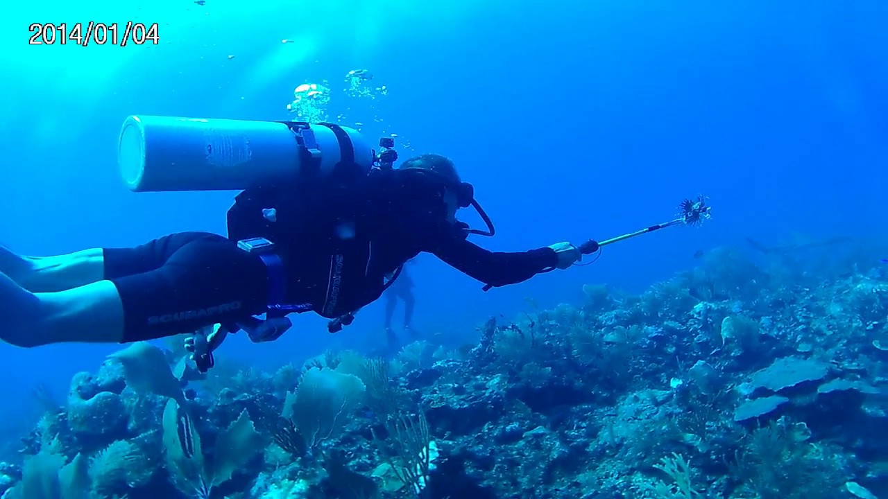 Diving in Belize #1 - YouTube
