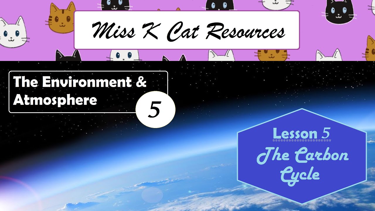 Lesson 5: The Carbon Cycle - YouTube