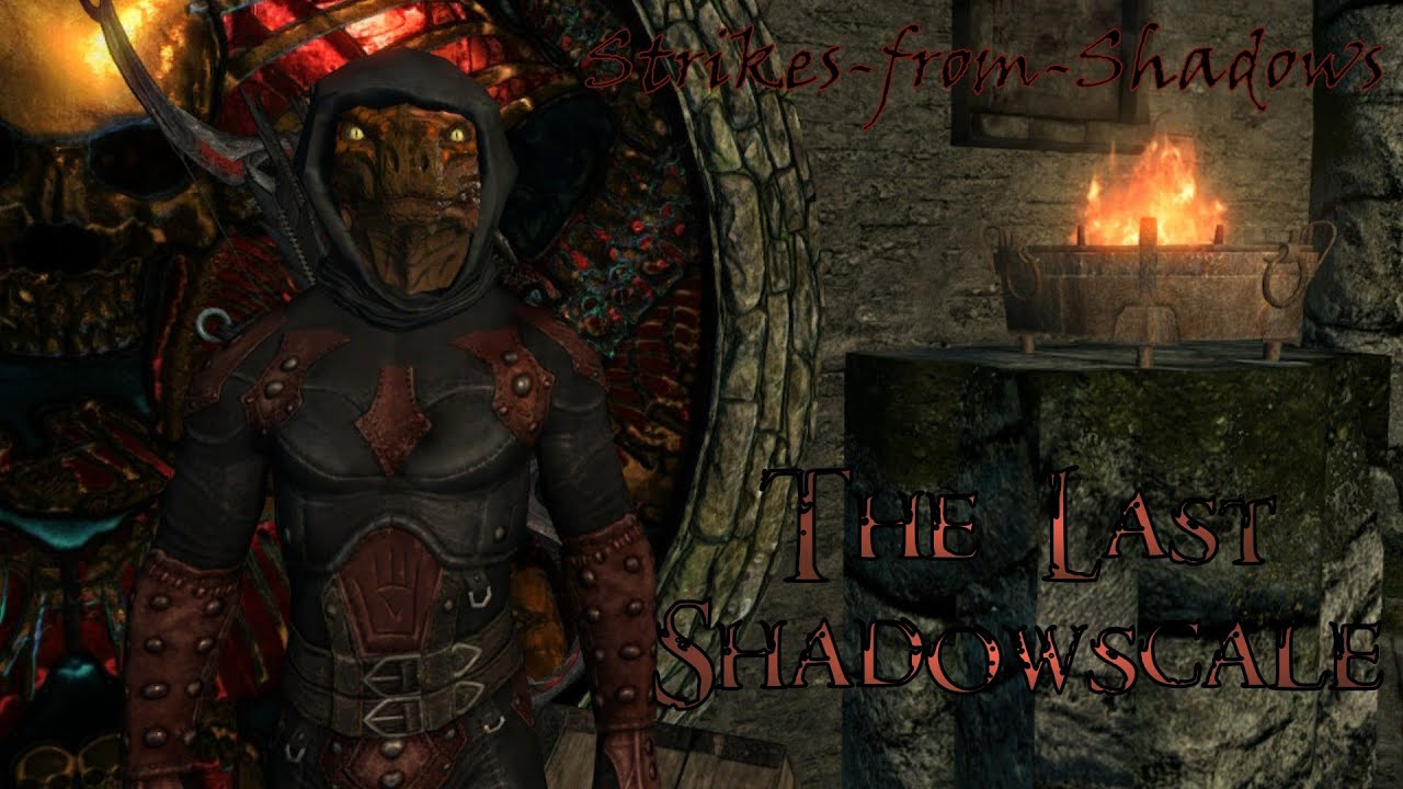 Strikes-From-Shadows, The Last Shadowscale | Skyrim Build Guide - YouTube