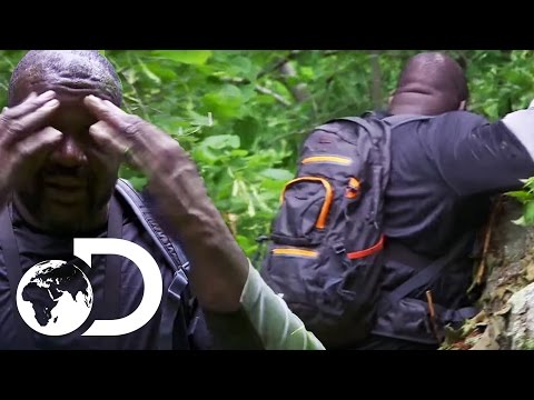 Shaquille O'Neal Falls off A Cliff | Running Wild with Bear Grylls
