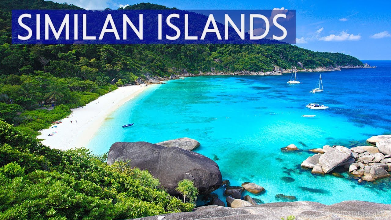 Similan Islands Day Tour by Speed Boat | Price | Review | Avitip - YouTube