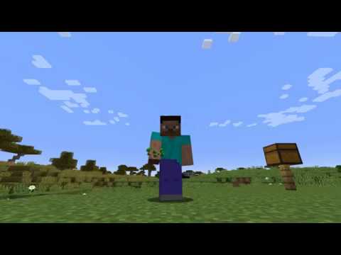 Steve returns home | The Legend of Steve #2 - YouTube