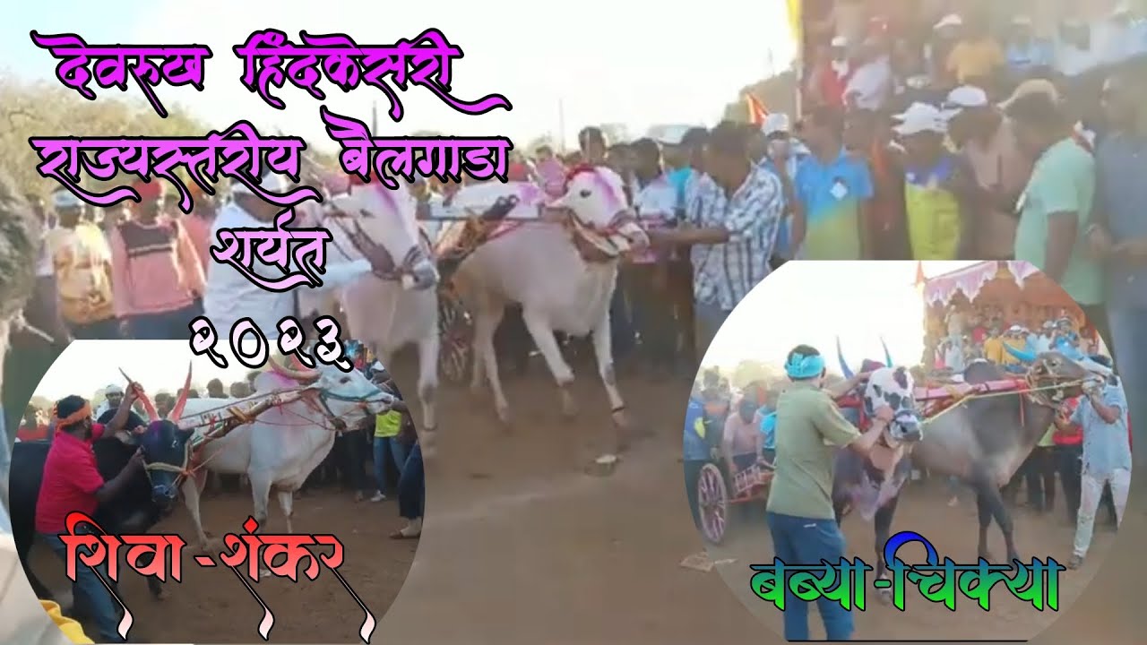 देवरुख हिंदकेसरी राज्यस्तरीय बैलगाडा शर्यत 2023 | Devrukh Bailgada ...