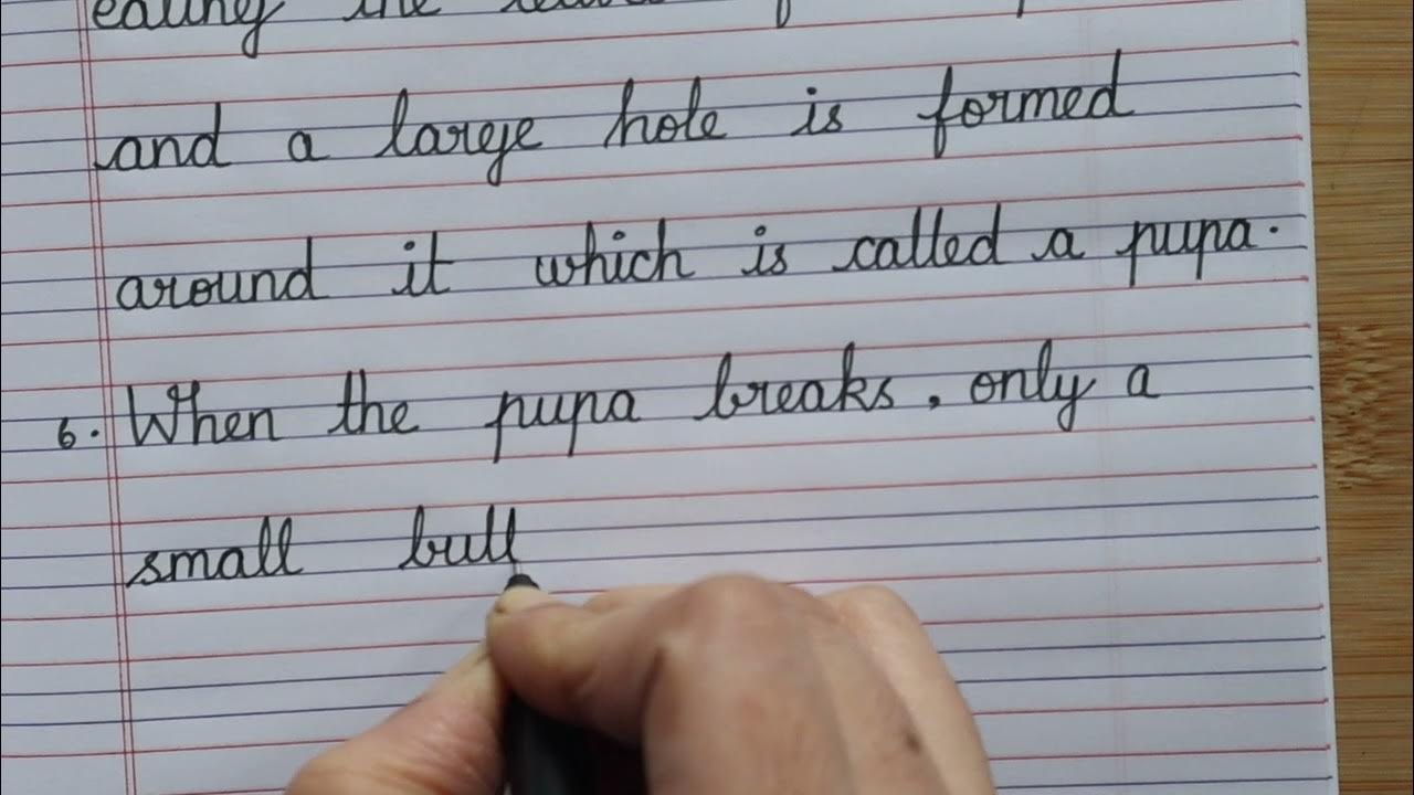 How to write neat cursive handwriting / calligraphy / four line note ...