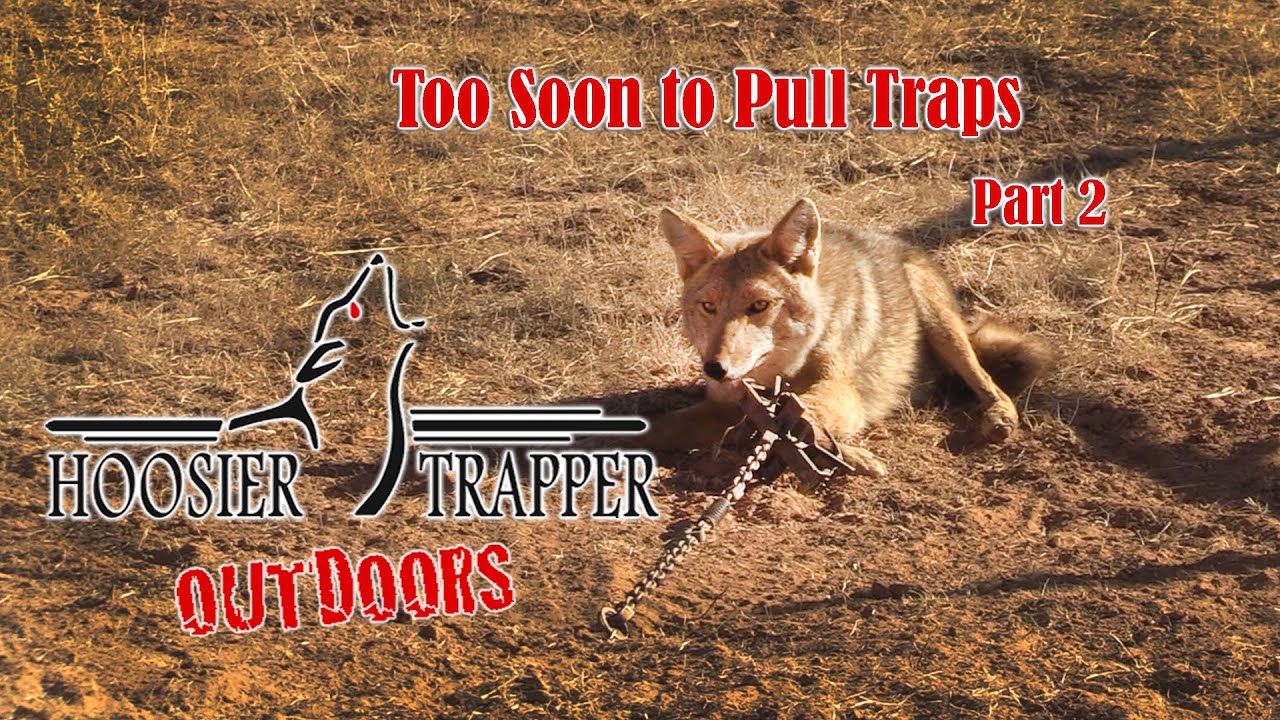 Too Soon to Pull Traps (Part 2) - Ep.11 S.12 - YouTube