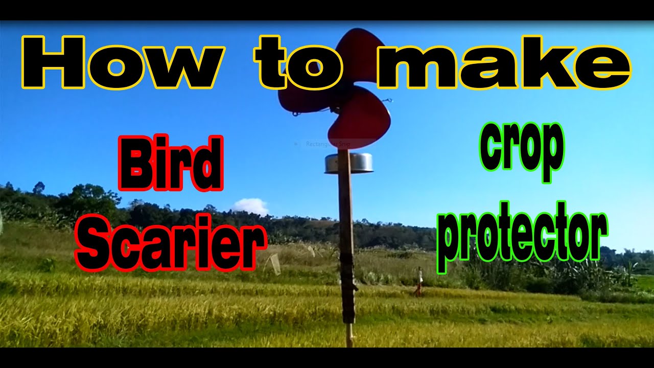 How to make Scarecrow / Bird Scarier / Crop Protection - YouTube