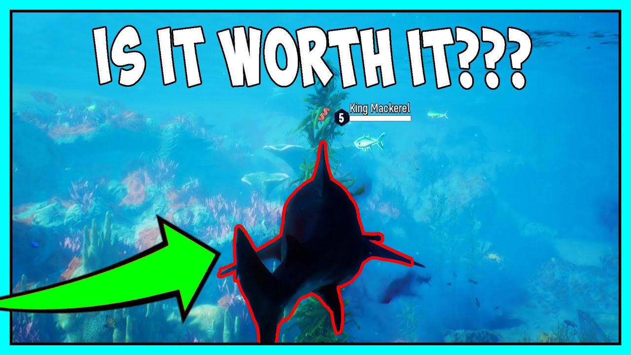 Maneater Gameplay Is It Worth It? - YouTube