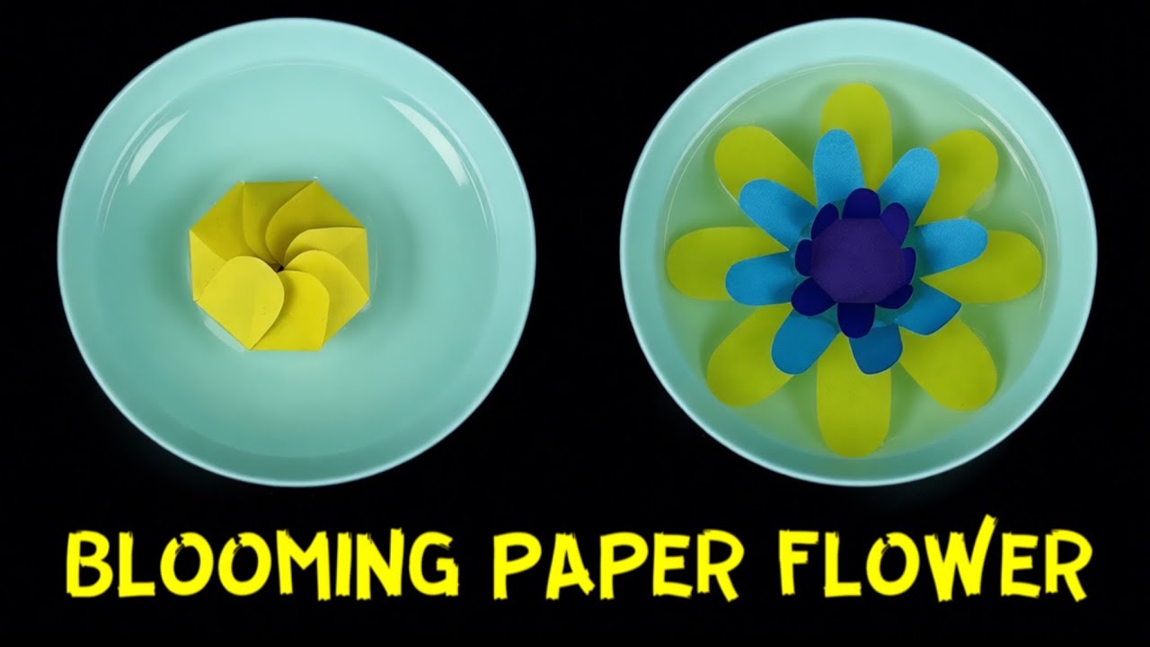 Blooming Paper Flower Experiment for kids | The Science of Capillary ...