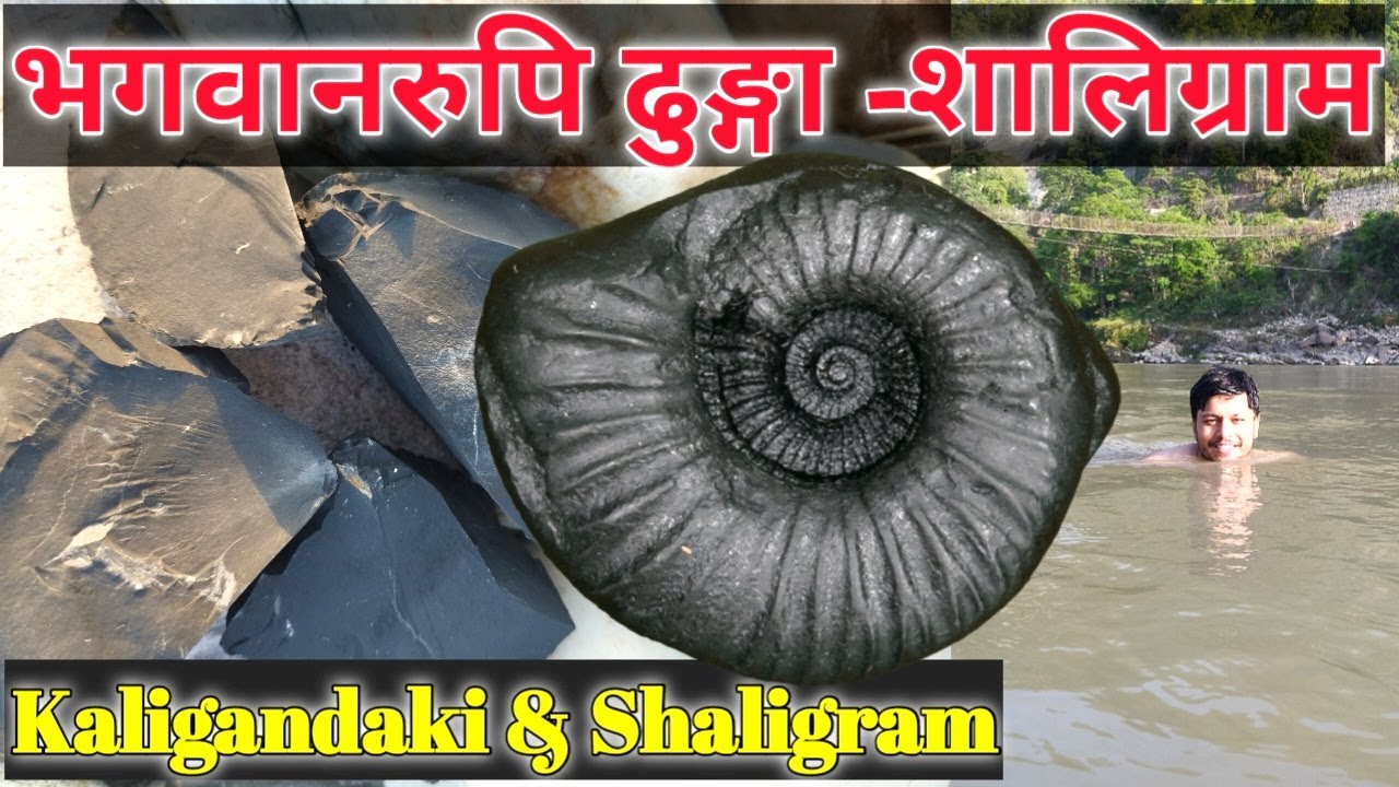 Shaligram Stone (Shila) | Kali Gandaki River Nepal | The Gandaki River ...