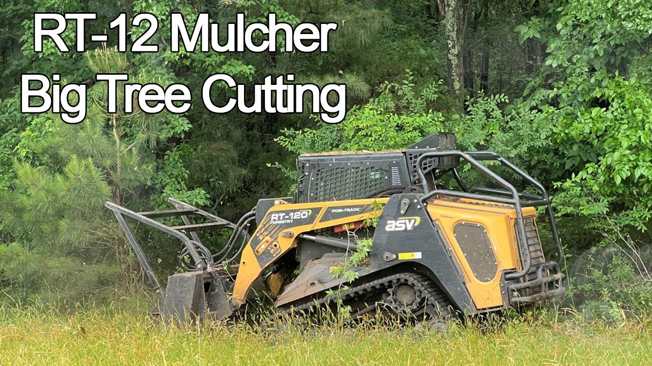 Big tree Finished In 5 Minutes | ASV RT-120 Forestry Mulcher Real time ...
