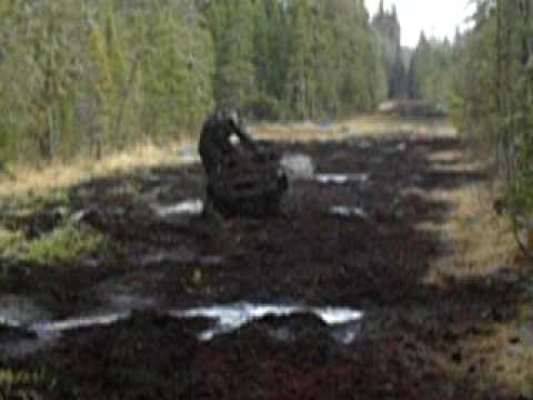 Quadding in Alberta muskeg, - YouTube