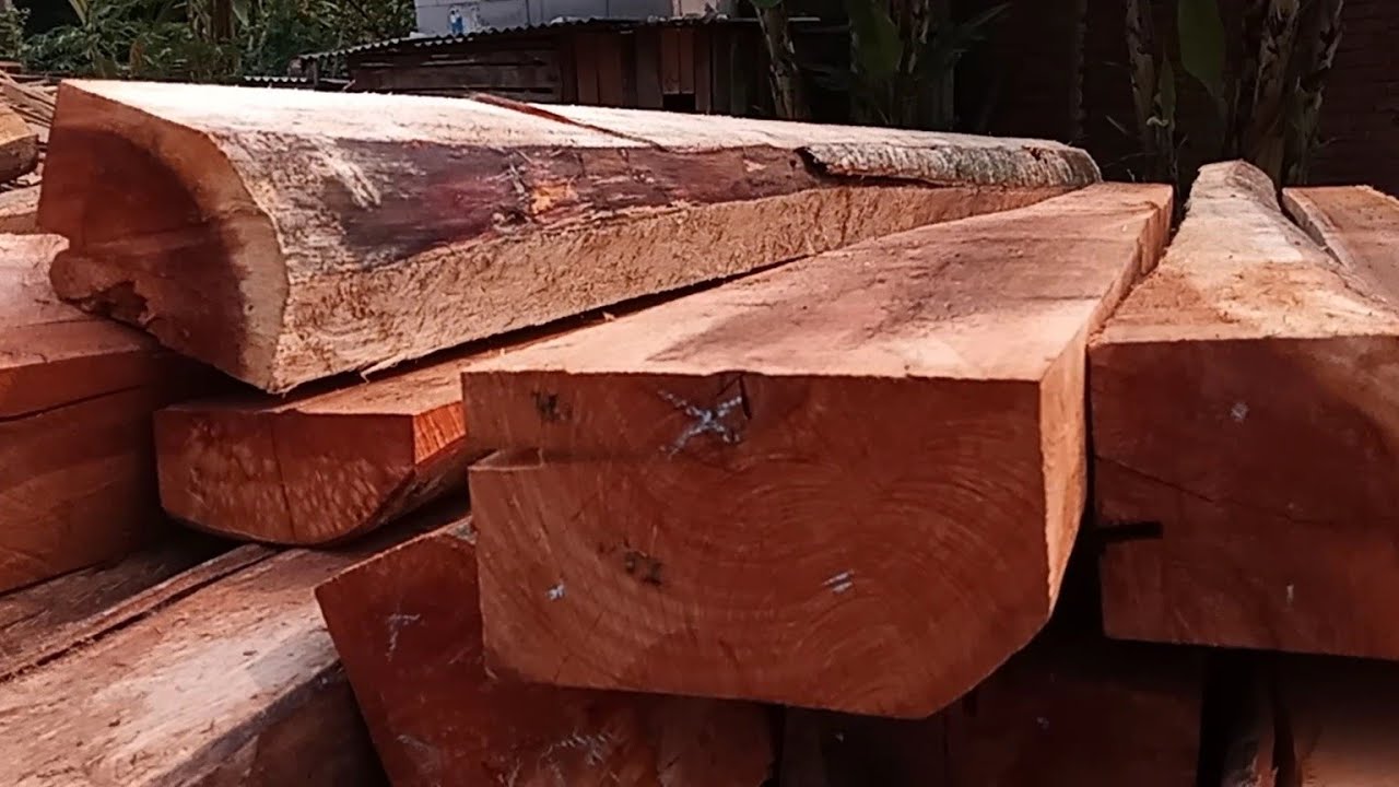 Lebih baik bersabar, daripada menyerah (proses penggergajian kayu ...