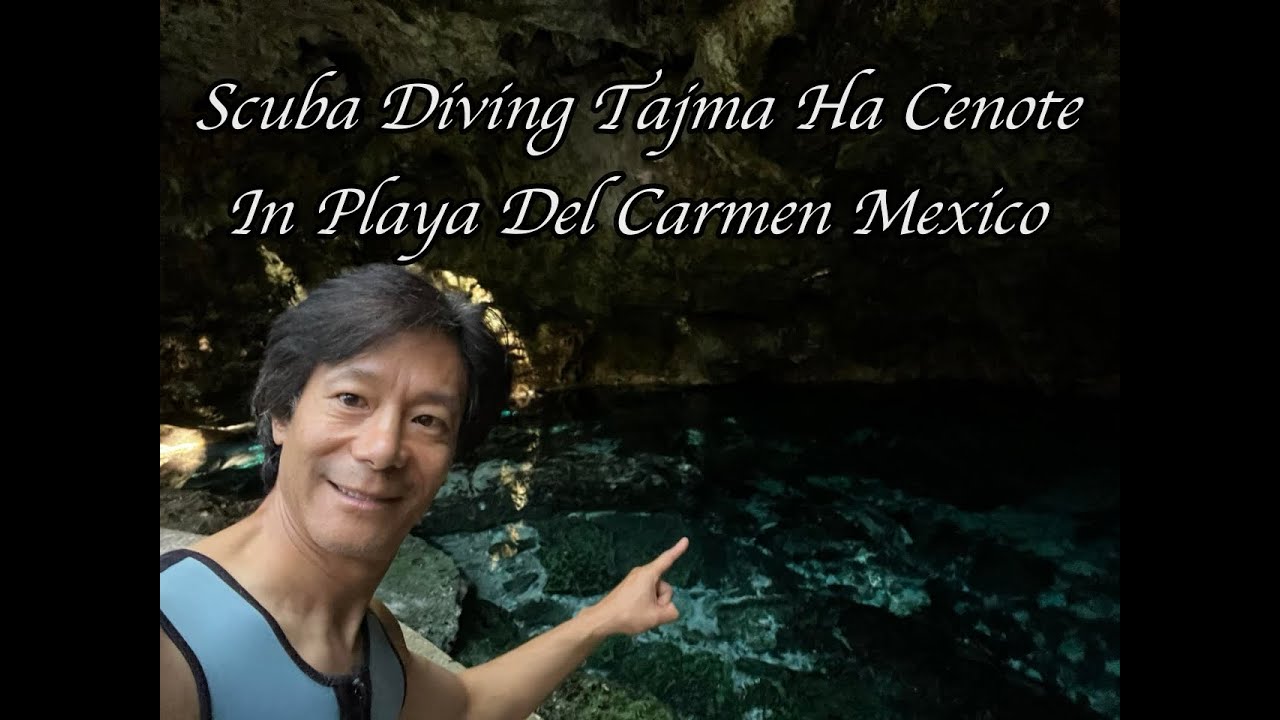 Scuba Diving In Tajma Ha Cenotes Mexico - YouTube