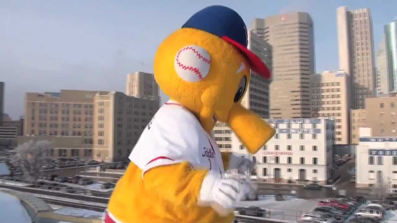 Did Goldie see his shadow? 2012 Edition - YouTube
