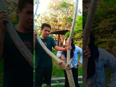 SUKA INTIP ISTRI TETANGGA