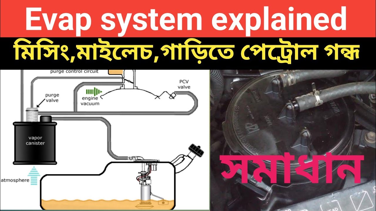 evap system explained.ইঞ্জিন ক্যানিস্টার কি,এর কাজ কি - YouTube