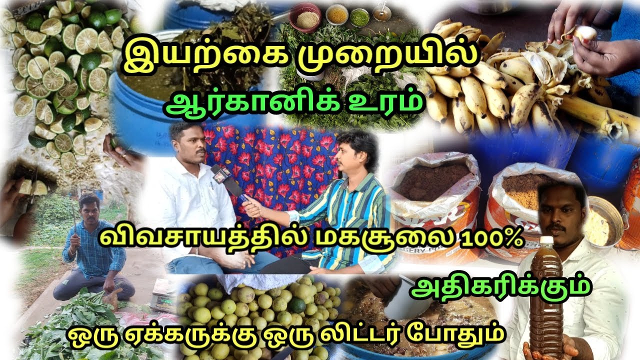 இயற்கை முறையில் ஆர்கானிக் உரம் | அதிக மகசூல் தரும் சீக்ரெட் | organic ...