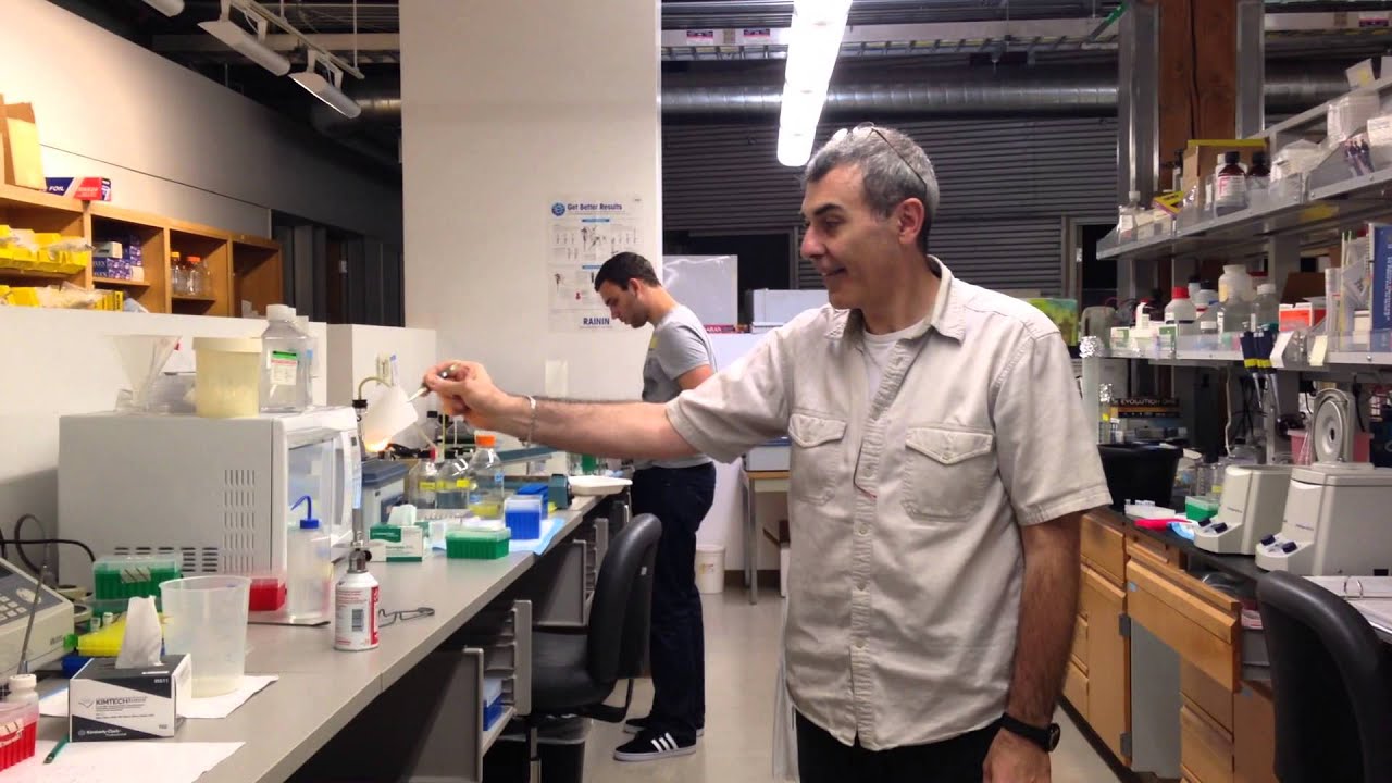 burning nitrocellulose membrane - little bit of magic in the lab - YouTube