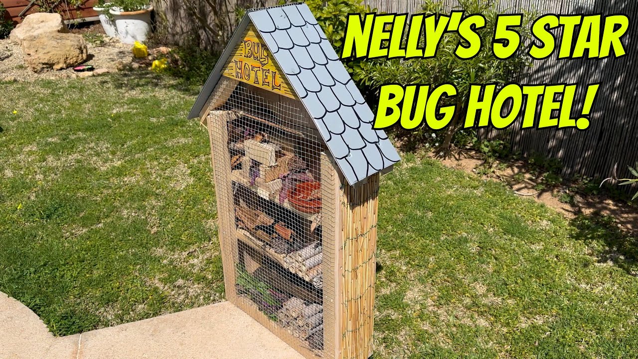 DAY 479: THE 5 STAR BUG HOTEL! - YouTube