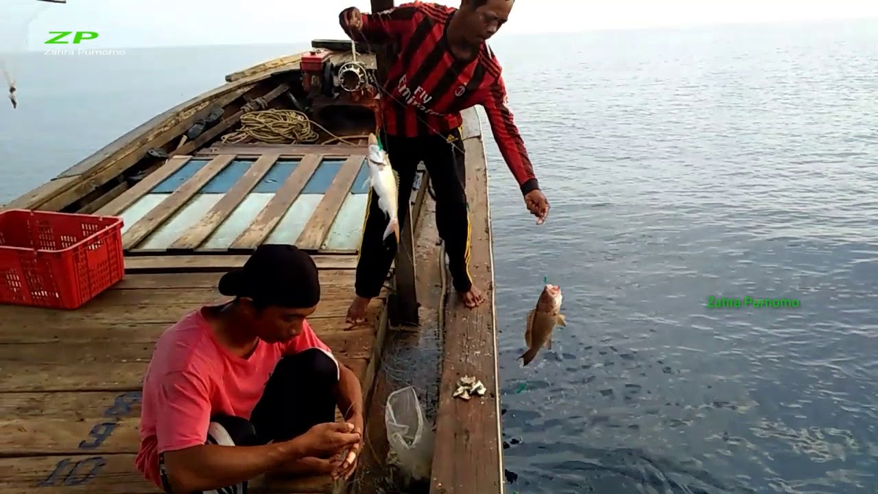 Macing pagi dapat setengah kranjang // macing di laut - YouTube