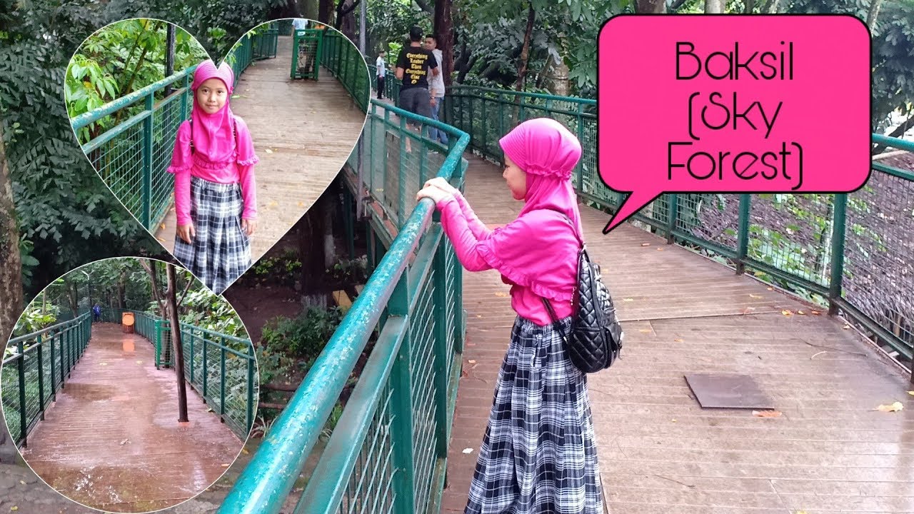 Babakan Siliwangi (Baksil) Forest Walk - YouTube