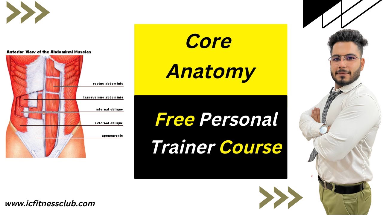 Core Anatomy | Personal Trainer Course | IC Fitness Club | - YouTube