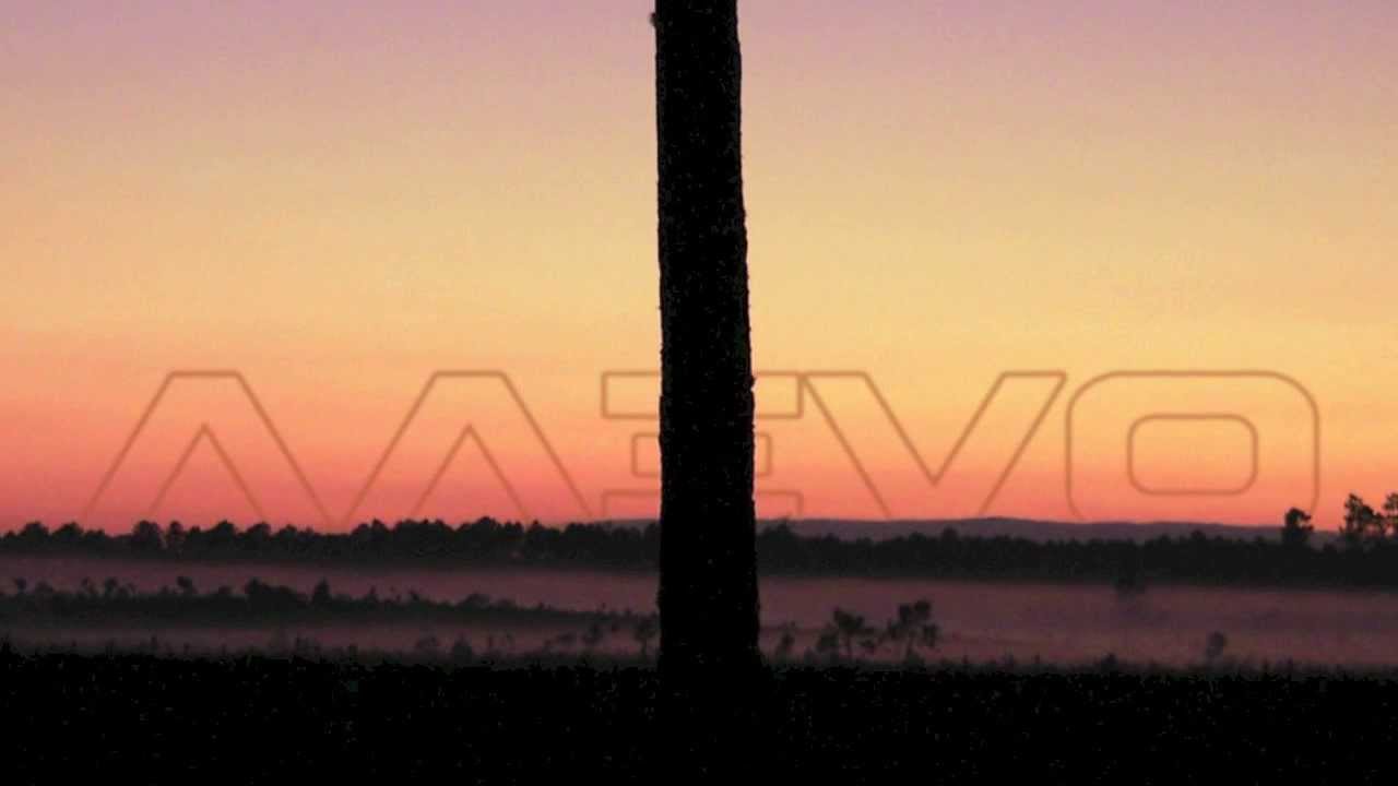 AAron EVO - Lo Tek (©2013) Preview - YouTube Music