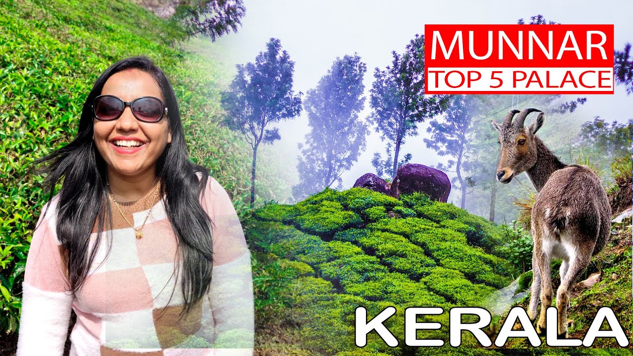 MUNNAR TOP 5 TOURIST PALACE | Munnar Travel Guide | Munnar Tourist ...