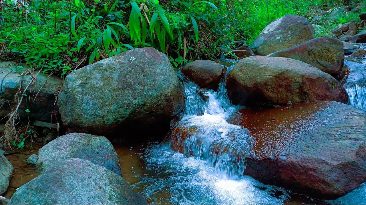 Smooth Sound of Riverbed for Elderly - Nature Self Healing Stress ...
