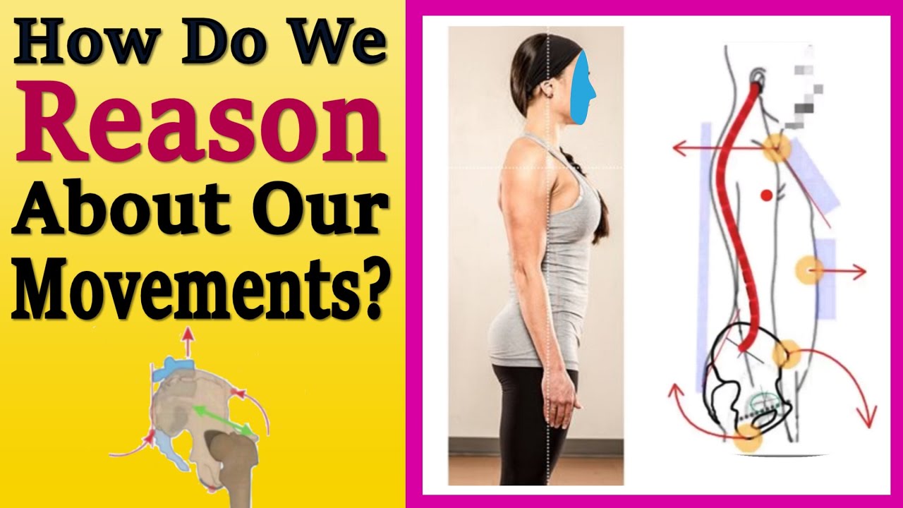 How Do We Reason About Our Movements? - YouTube