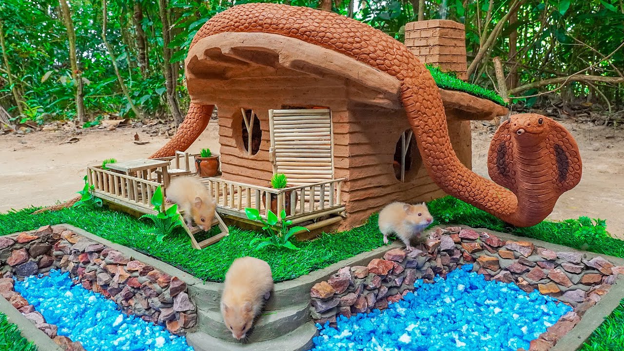 Build Hamster Maze With King Cobra Swimming pool - DIY Hamster House ...