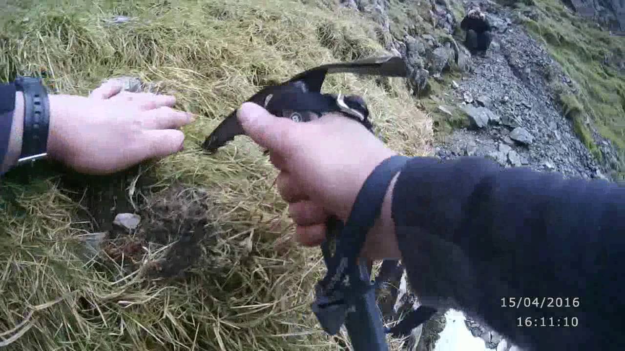 Lords Rake, Scafell Pike - YouTube