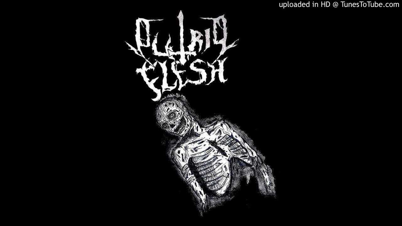 Putrid flesh, track 1 - YouTube