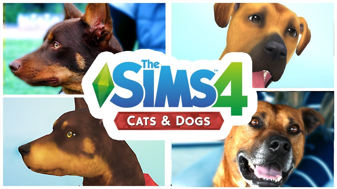 Adopting Real Life Dogs in The Sims 4! (with RSPCA) - YouTube