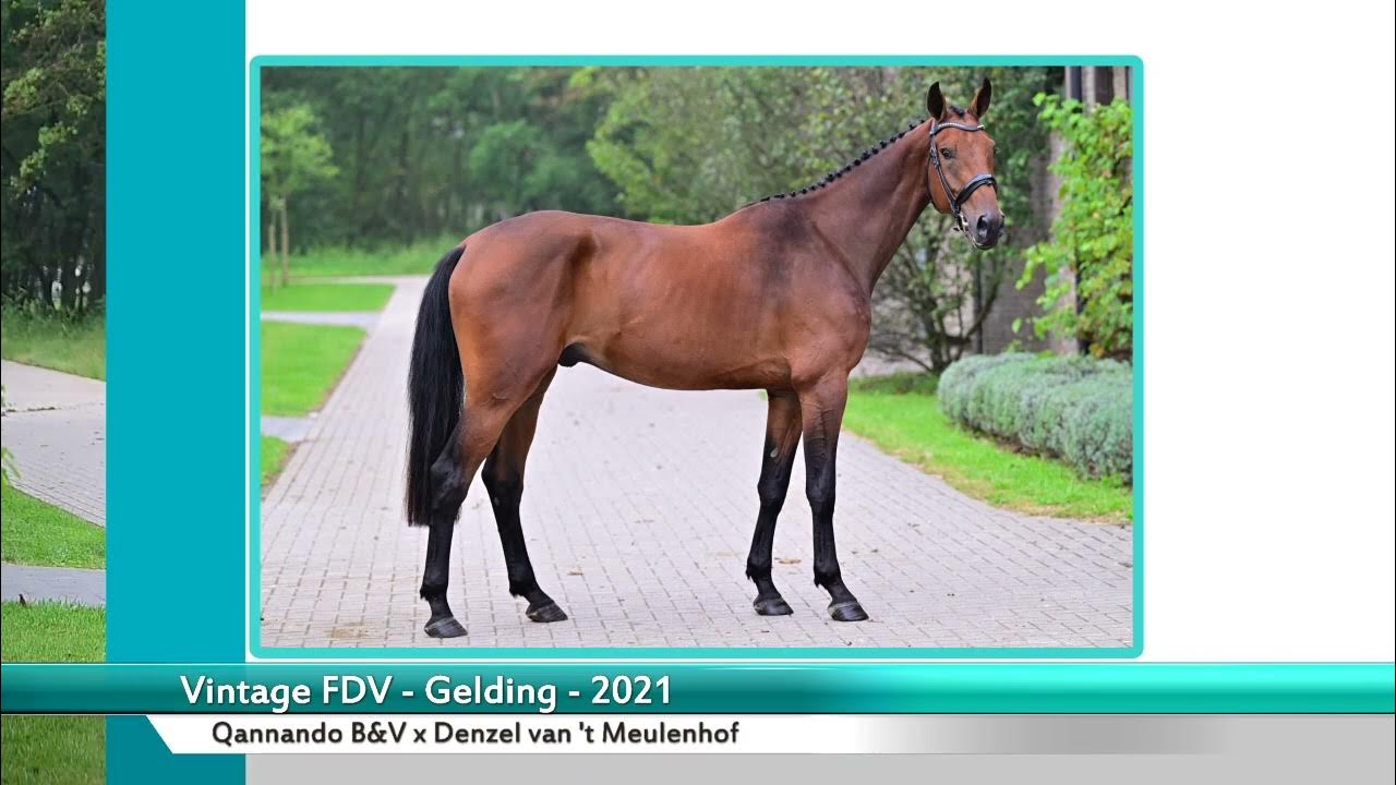 Vintage FDV - YouTube