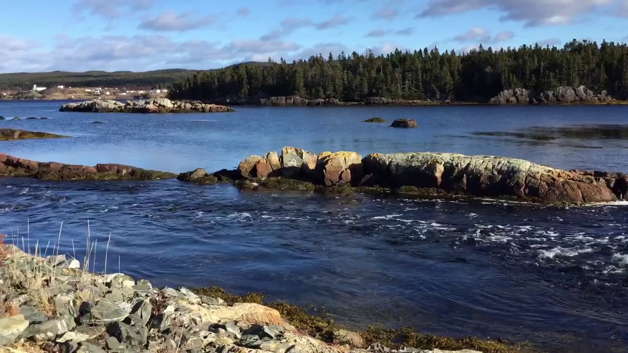 Salt Water Pond - YouTube