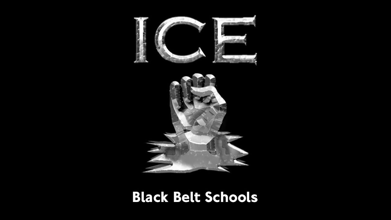 ICE Black Belt Schools with Master Lee Banda - YouTube