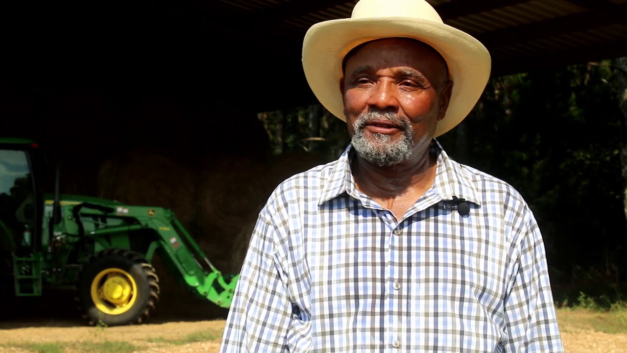 Willie Clay Cattle Farmer - YouTube