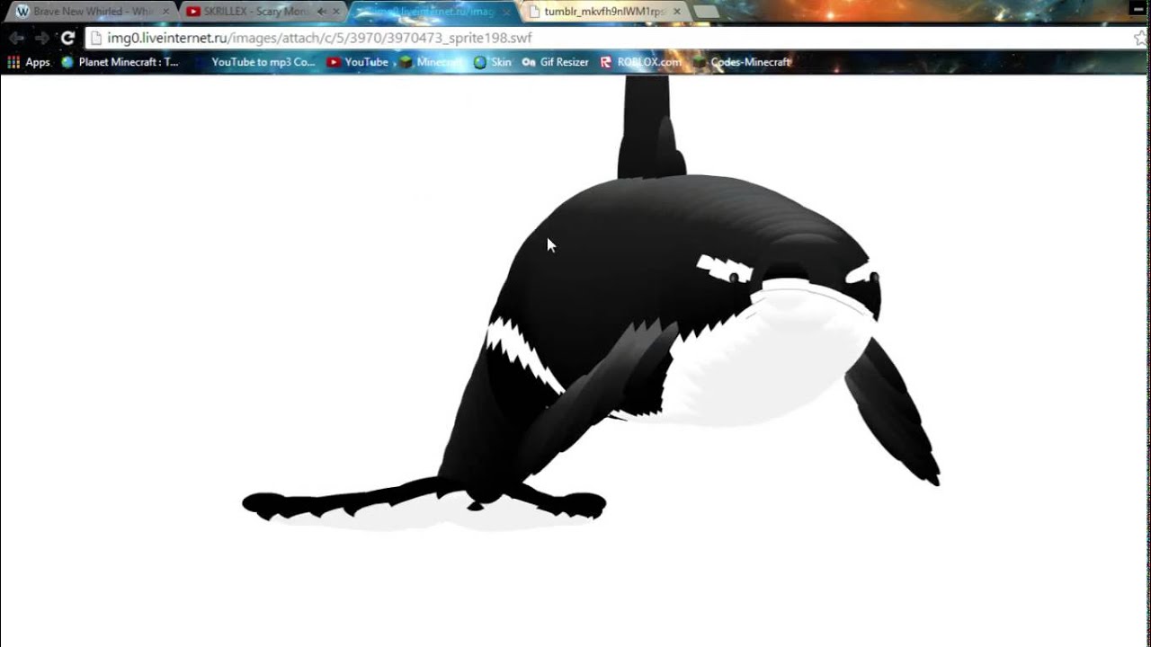 Orca dancing to Skrillex, dont copy - YouTube