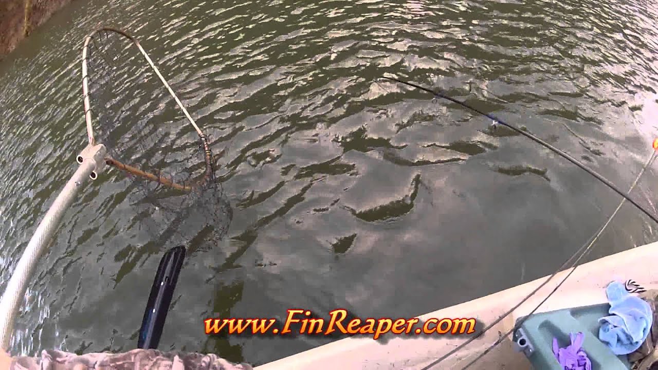 The Fin Reaper Fishing Guide Service - YouTube