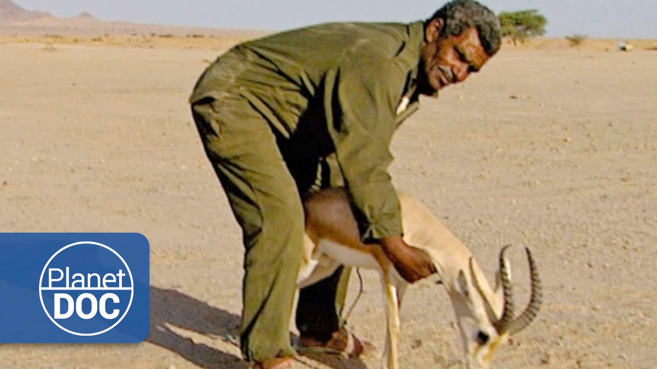 Tribus Paleobereberes | Nomadas del Sahara - YouTube